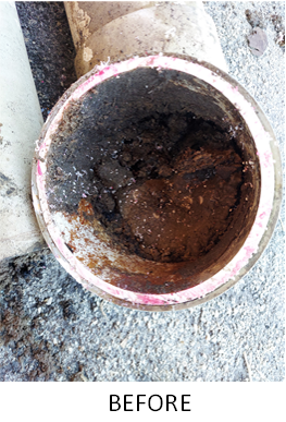 Struvite Reduction via PRI-TECH® - USP Technologies